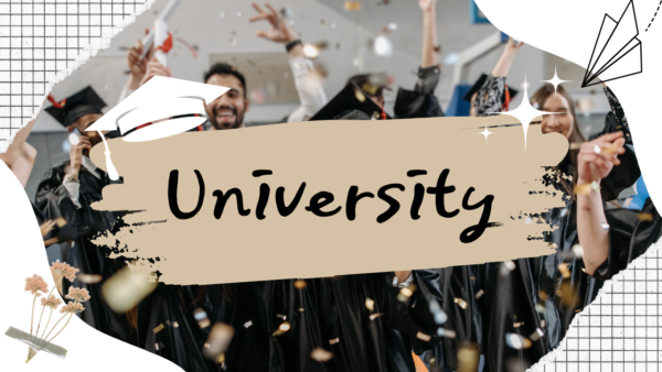 University – Virtually Fluent